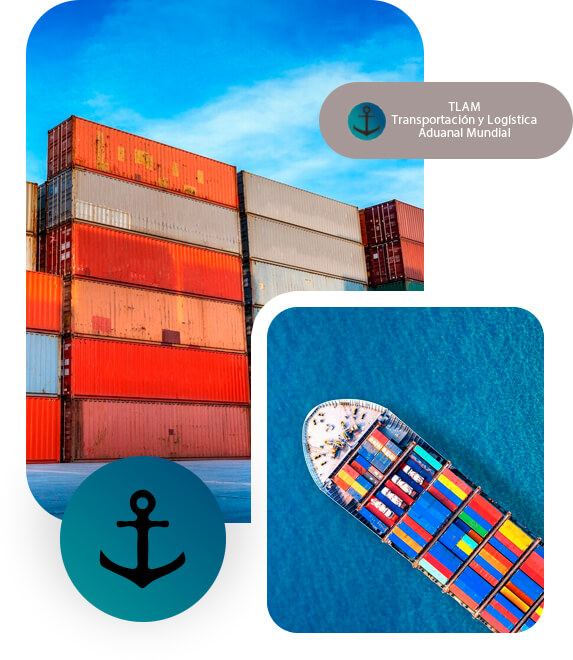 Gestión aduanera y transportación nacional e internacional - TLAM ...