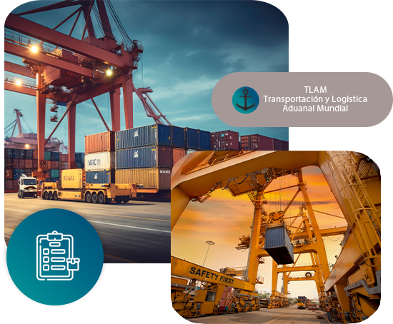 Agencia aduanal - TLAM Transportación y Logística Aduanal Mundial